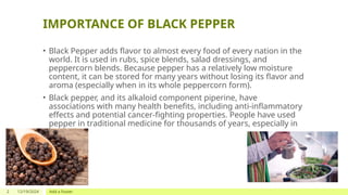 Production technology ofBlack Pepper.pptx