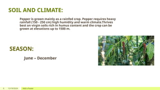 Production technology ofBlack Pepper.pptx