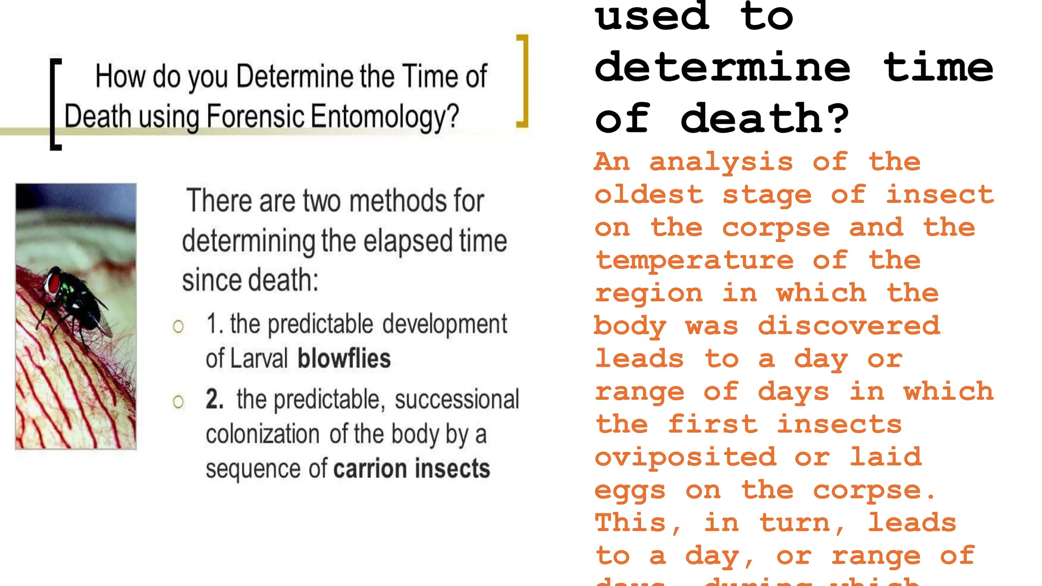 ENTAMOLOGY DETERMINATION OF DEATH OF PERSON BY INSECT LIFE CYCLE | PPT
