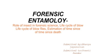 ENTAMOLOGY DETERMINATION OF DEATH OF PERSON BY INSECT LIFE CYCLE | PPT
