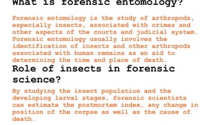 ENTAMOLOGY DETERMINATION OF DEATH OF PERSON BY INSECT LIFE CYCLE | PPT