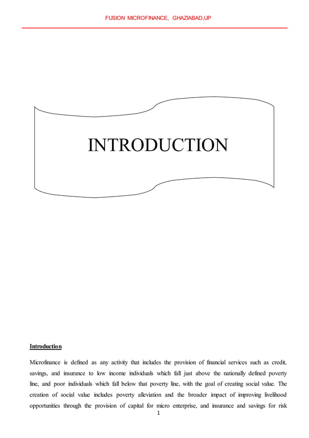 FREE PROJECT REPORT ON MICRO FINANCE | DOCX | Government Support and ...