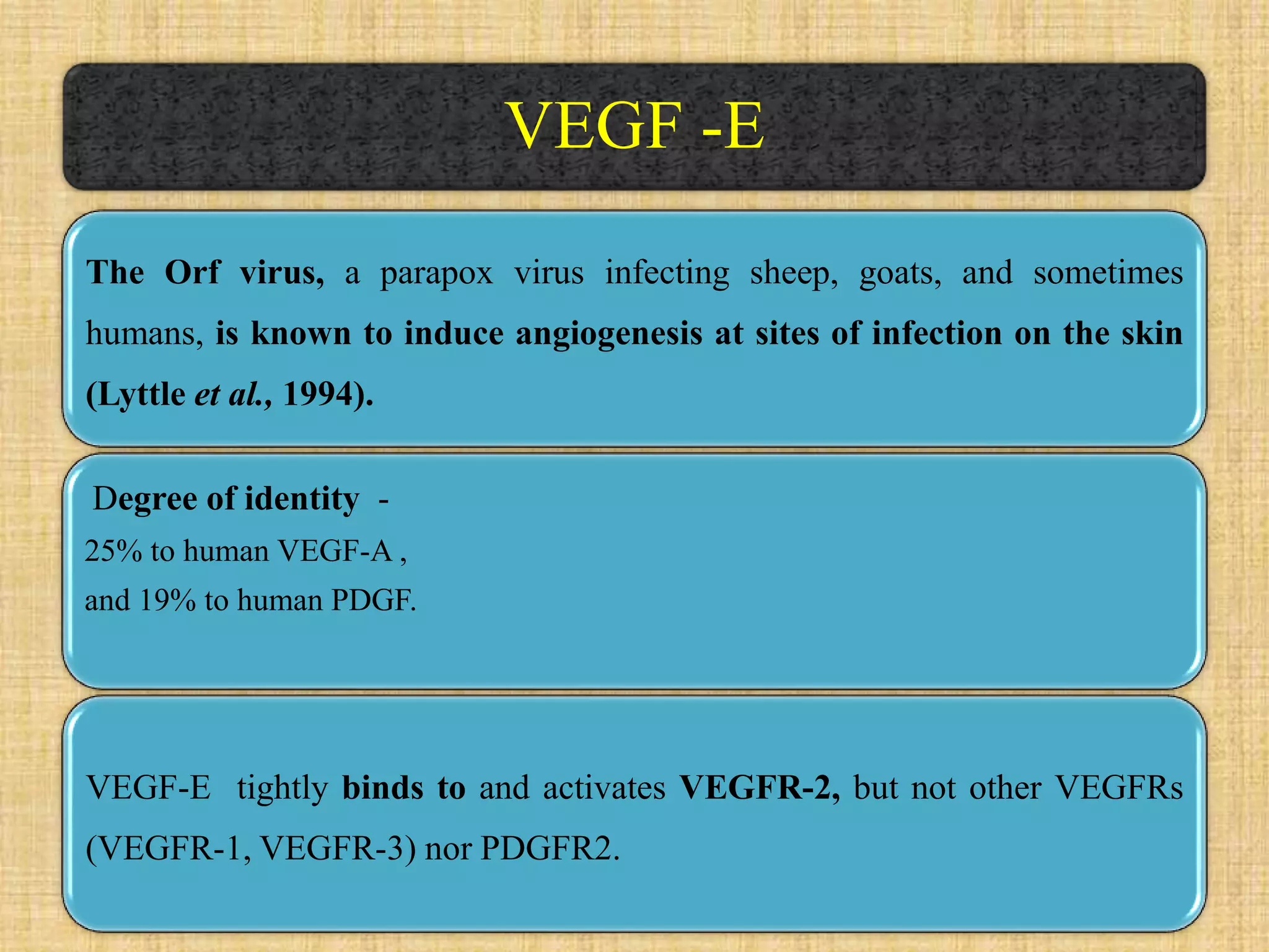 VEGF (Vascular endothelial growth factors ) | PPTX