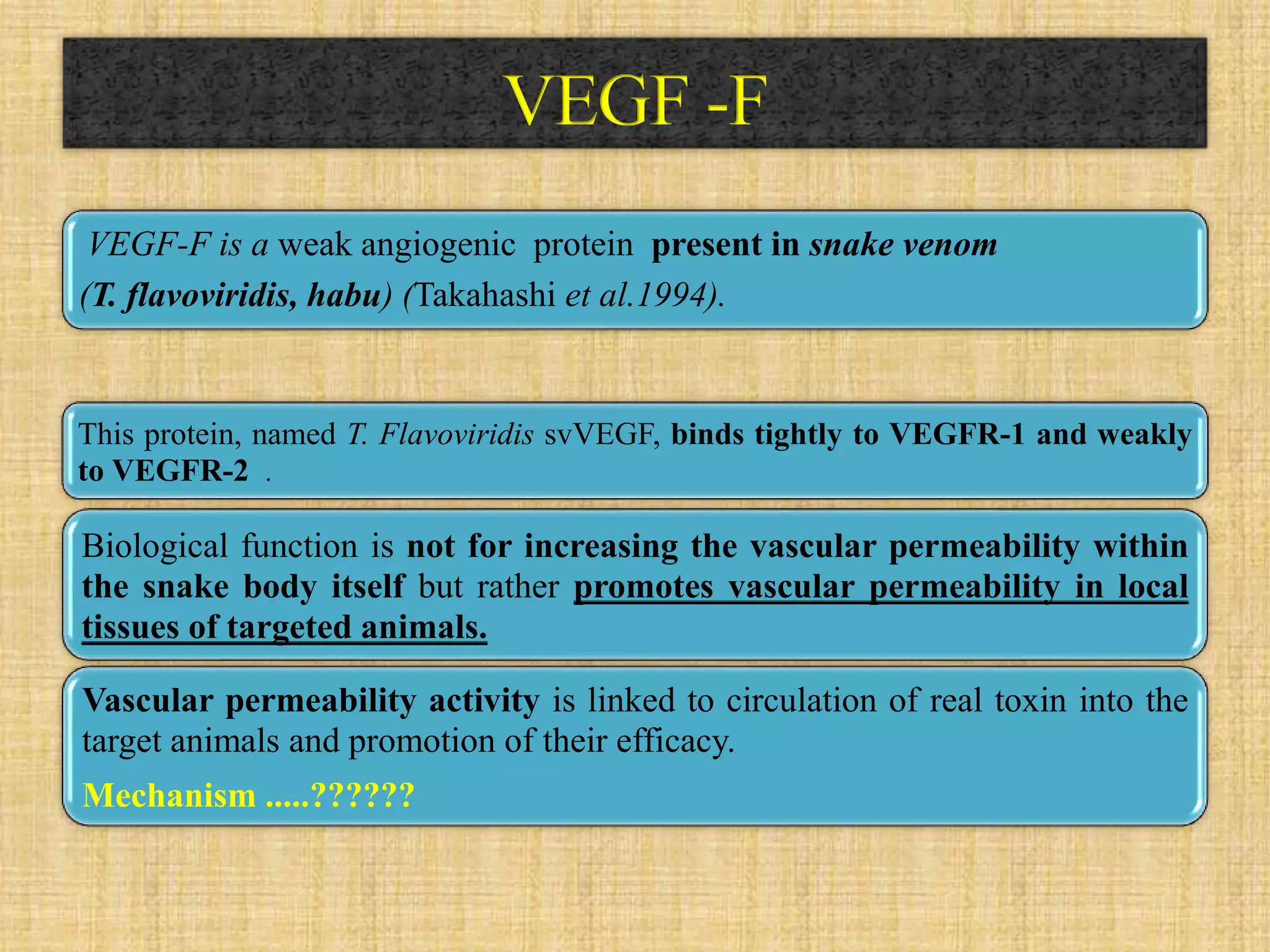 VEGF (Vascular endothelial growth factors ) | PPTX