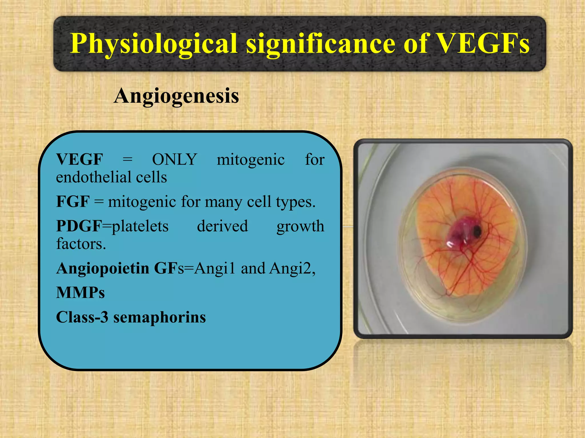 VEGF (Vascular endothelial growth factors ) | PPTX