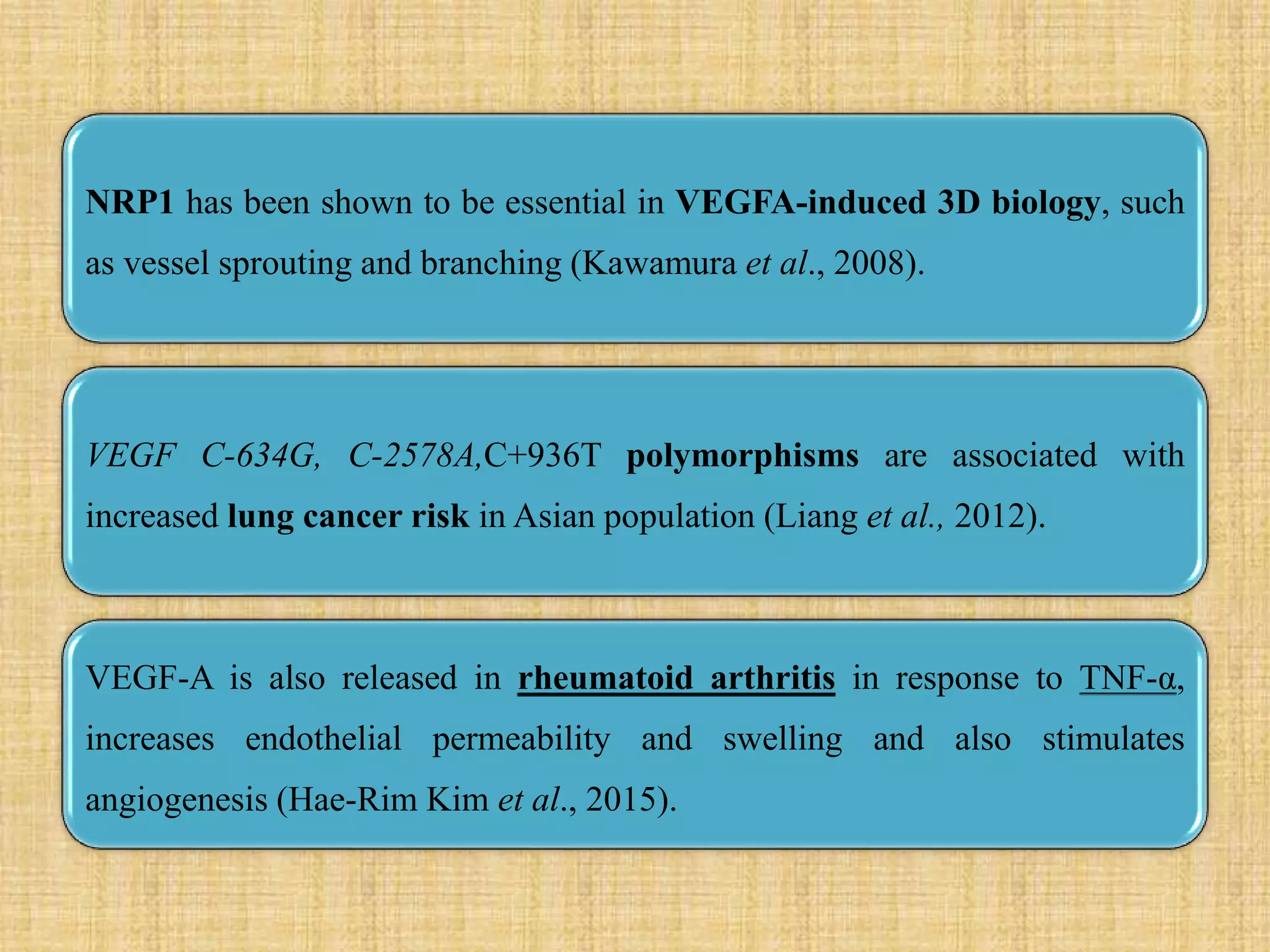 VEGF (Vascular endothelial growth factors ) | PPTX VEGF (Vascular endothelial growth factors ) | PPTX