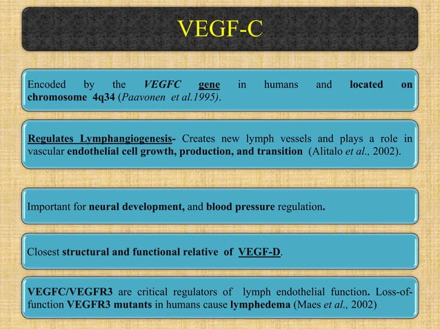 VEGF (Vascular endothelial growth factors ) | PPTX