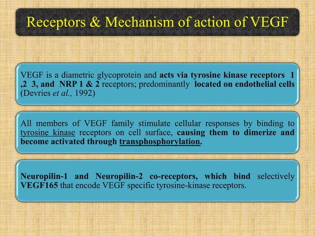 VEGF (Vascular endothelial growth factors ) | PPTX