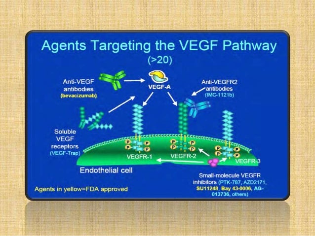 VEGF (Vascular endothelial growth factors )