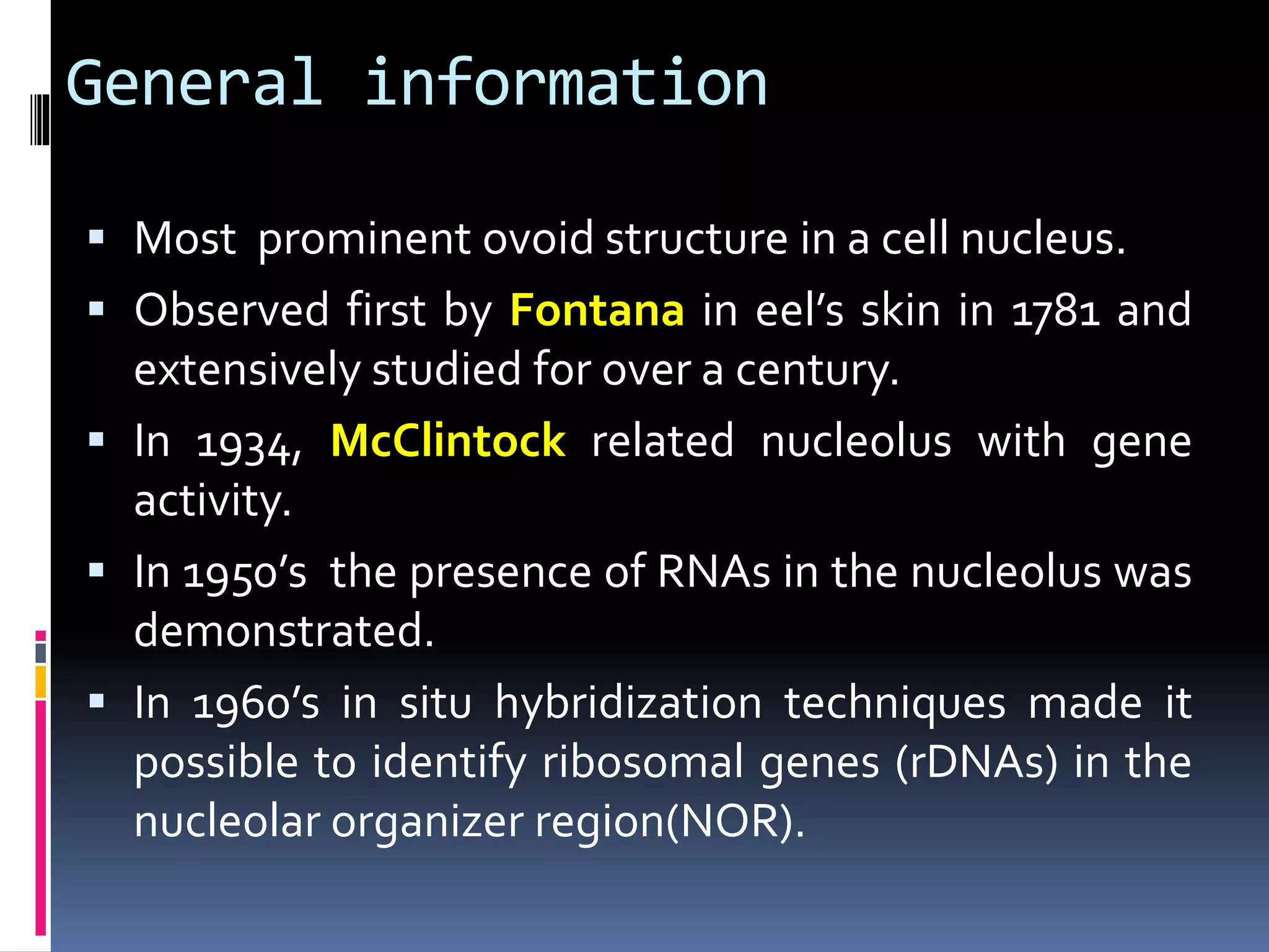 Multifunctional nucleolus in Plant cell growth and development. | PPTX