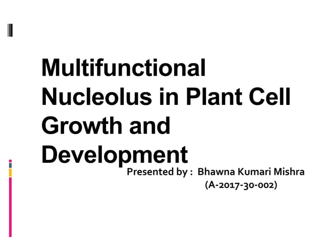 Multifunctional nucleolus in Plant cell growth and development. | PPT