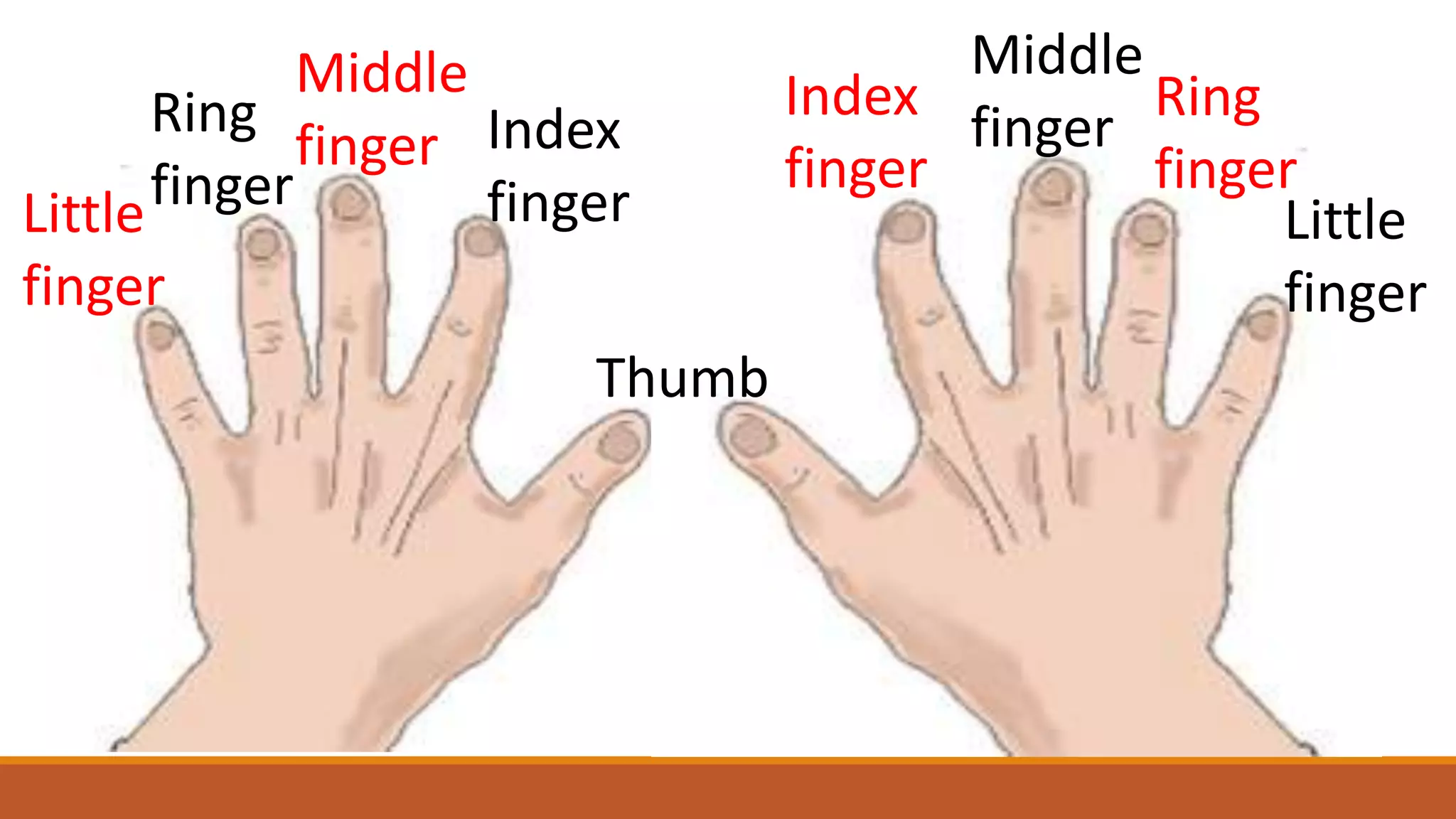 Introduction to Typing | PPTX