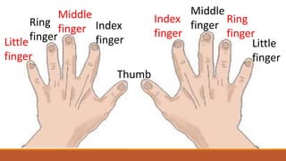 Introduction to Typing | PPTX