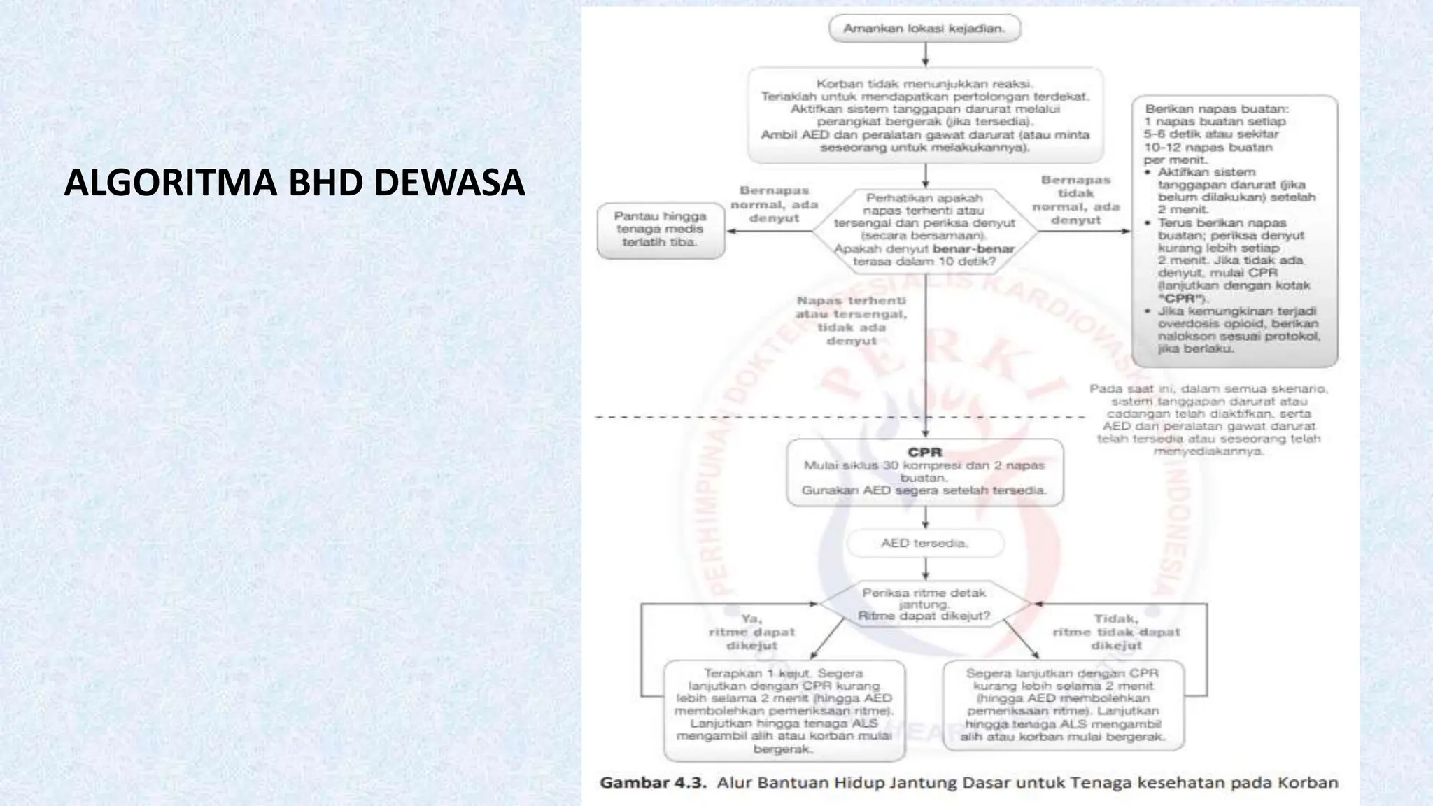 BHD DAN BHL (bantuan Hidup Dasar dan Bantuan Hidup Lanjut .pptx