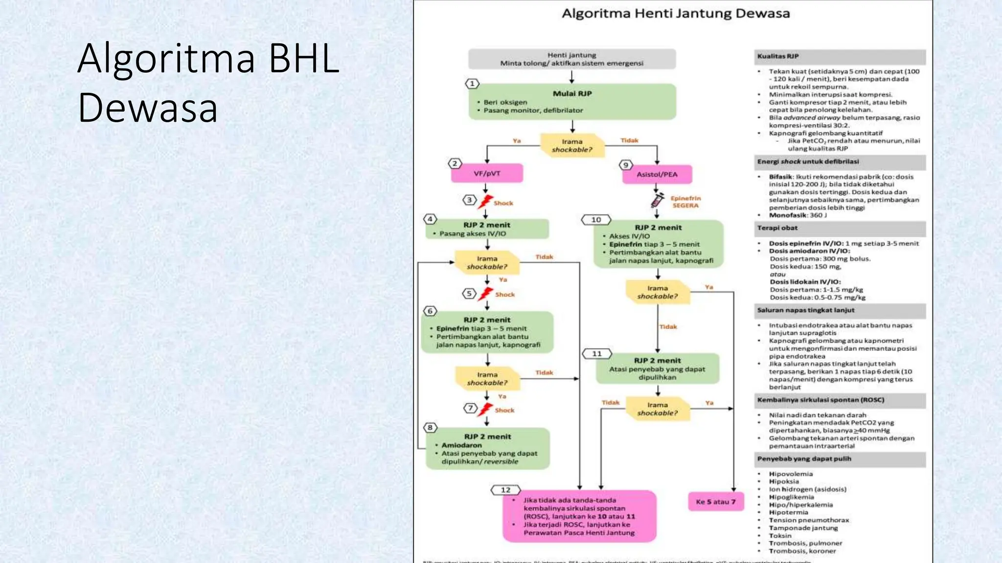 BHD DAN BHL (bantuan Hidup Dasar dan Bantuan Hidup Lanjut .pptx