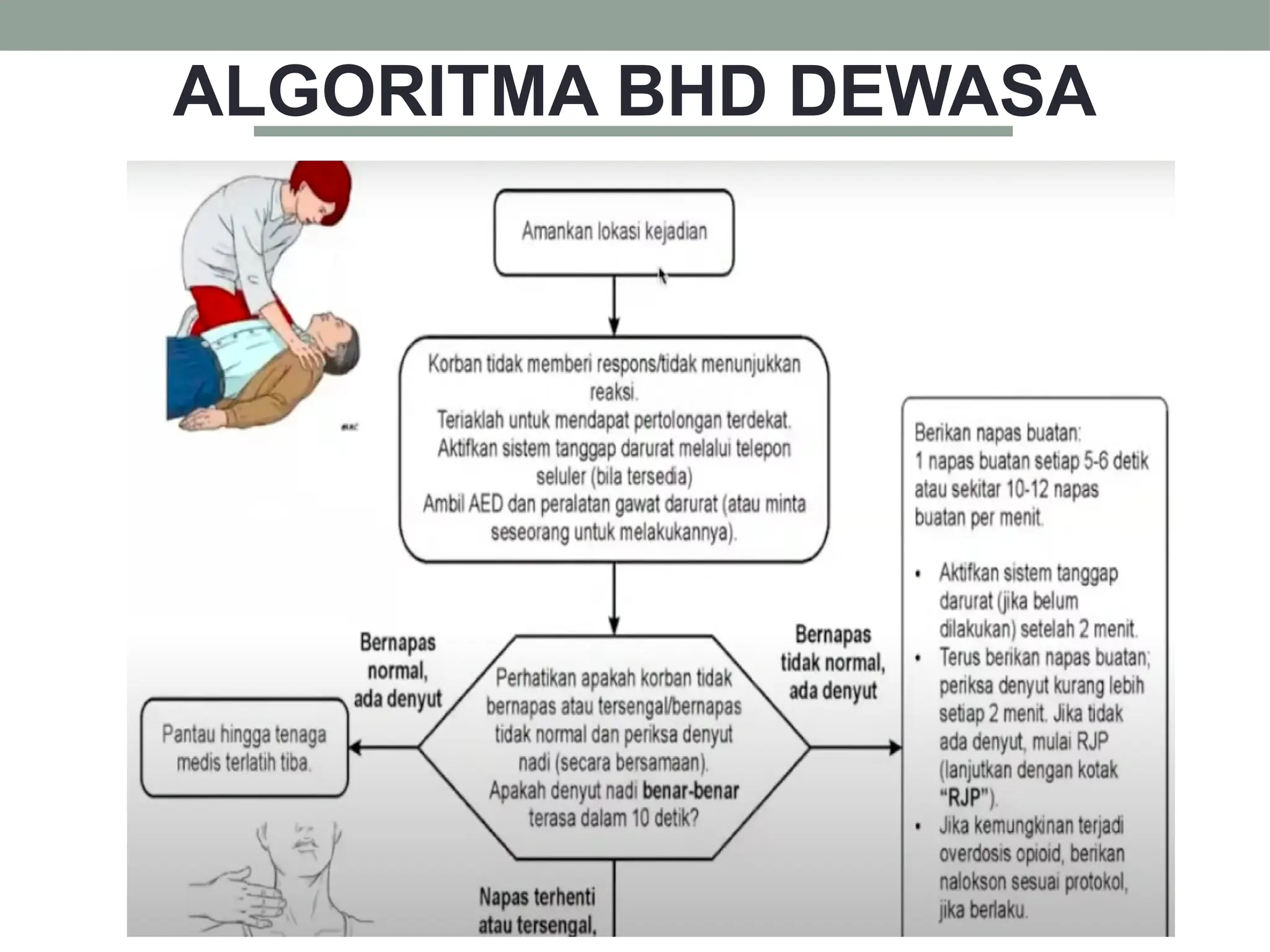 BANTUAN HIDUP DASAR PADA DEWASA, ANAK DAN BAYI.pptx