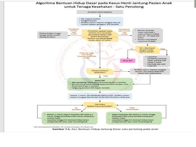 BANTUAN HIDUP DASAR PADA DEWASA, ANAK DAN BAYI.pptx