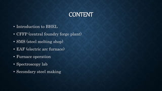 Bhel | PPTX | Chemistry | Science