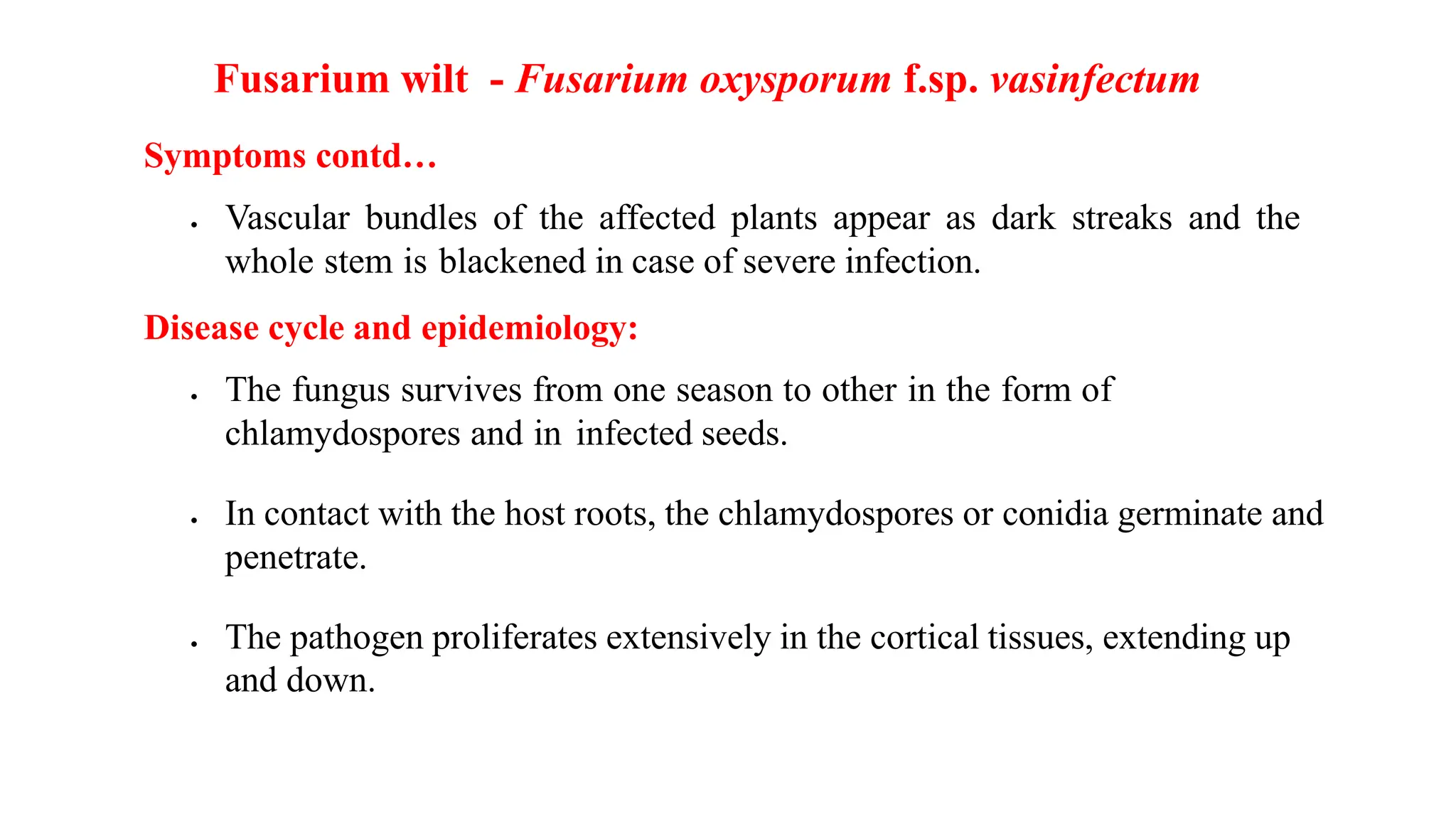 Bhend disease,symptoms,management,disease cycle | PDF