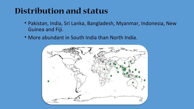 Bhendi shoot and fruit borer | PPT