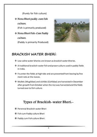 Bheri farming: shore based aquaculture | DOCX