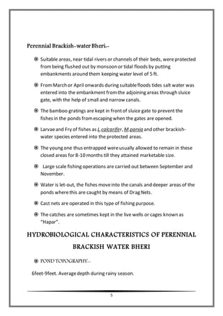 Bheri farming: shore based aquaculture | DOCX