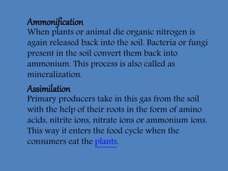 biogeochemical cycle | PPTX