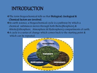 biogeochemical cycle | PPTX