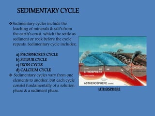 biogeochemical cycle | PPTX