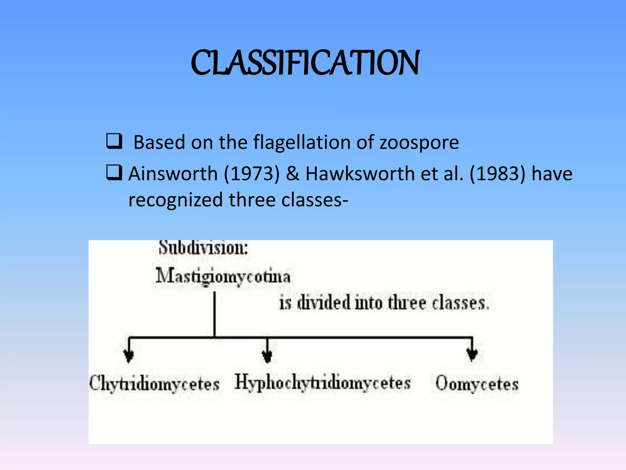 Bhimsen fungi | PPTX