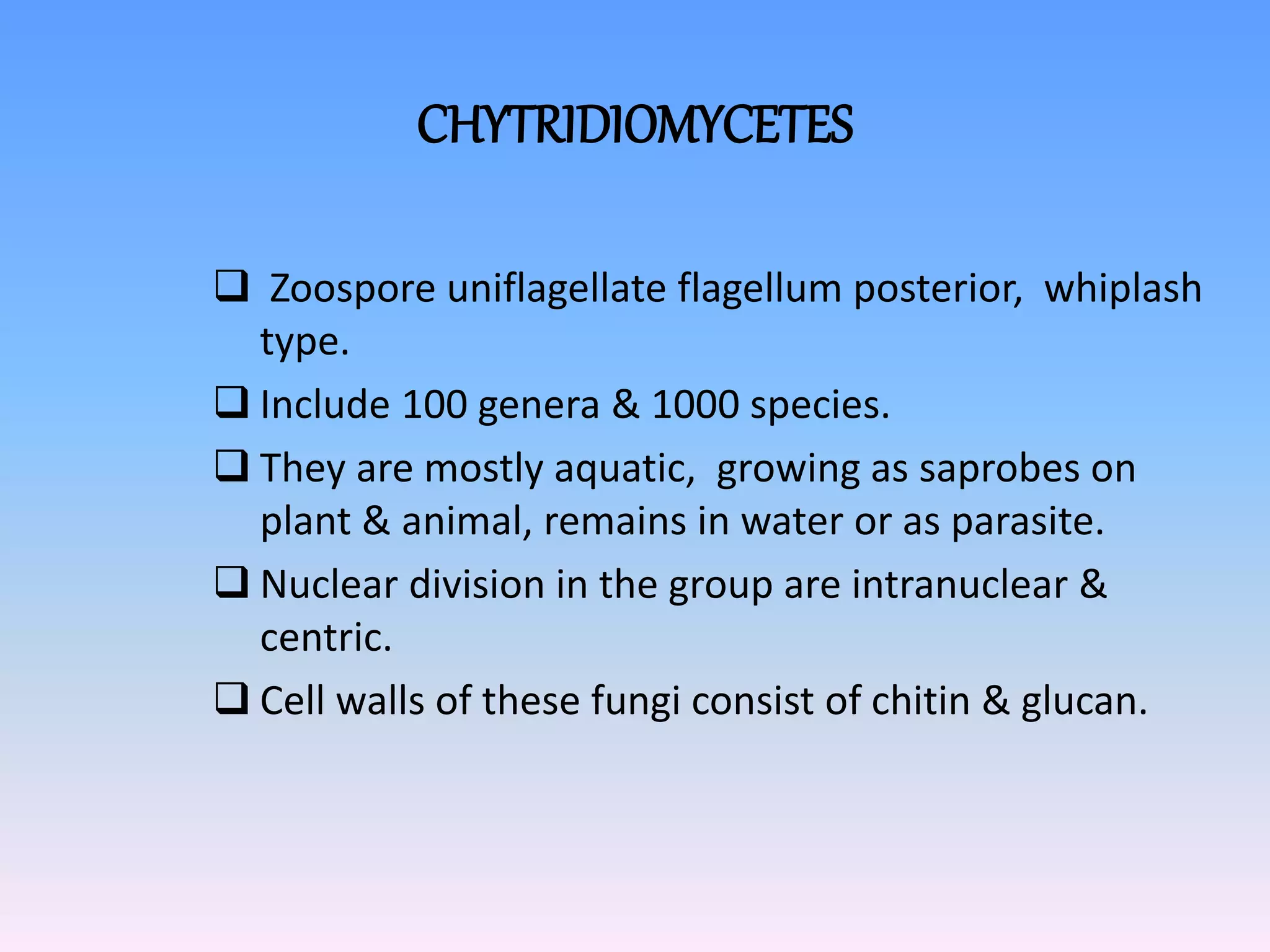 Bhimsen fungi | PPTX