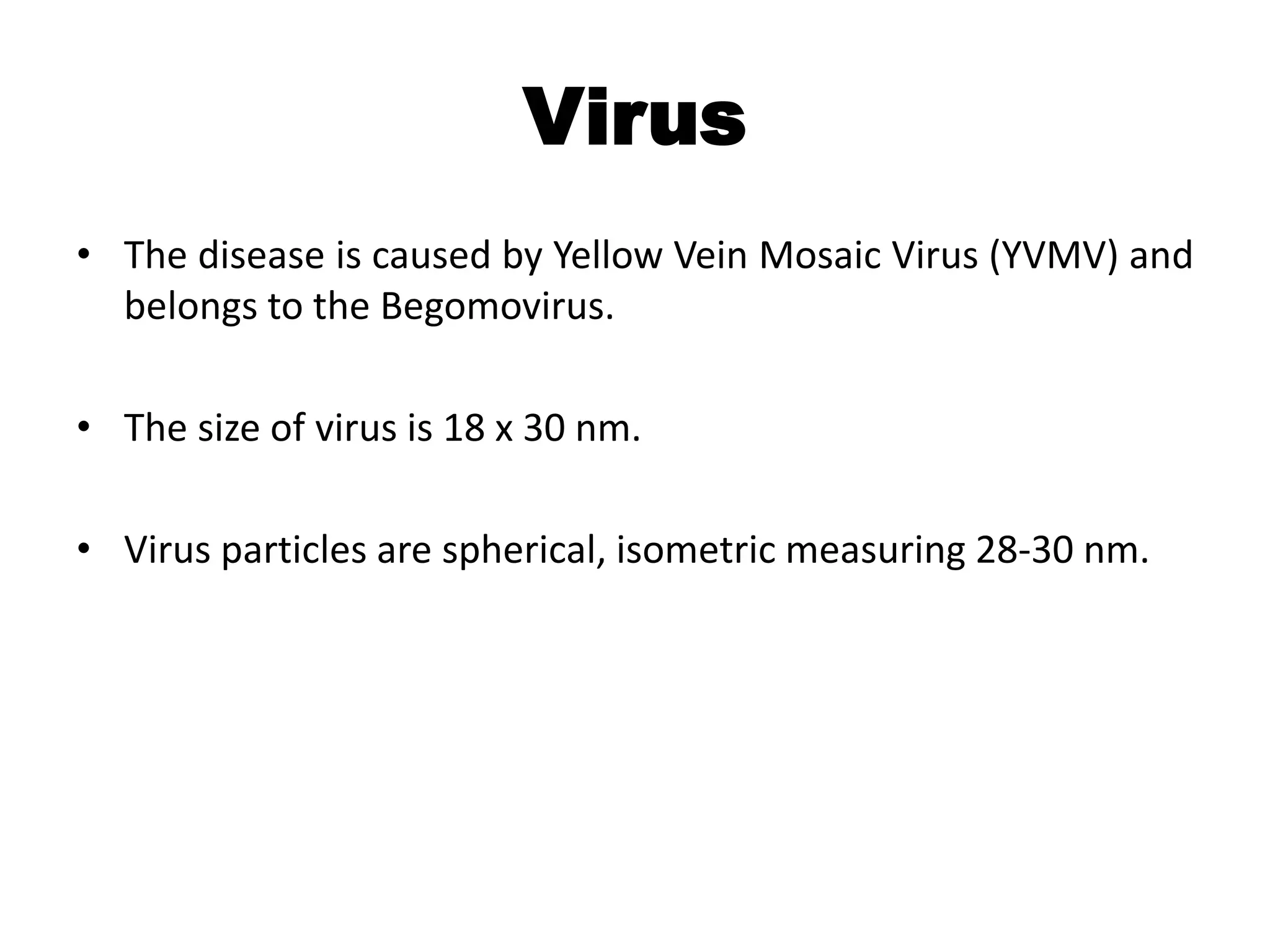 Diseases of Bhindi | PPTX