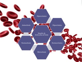 Biometria Hematica | PPTX