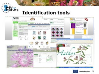 BHL and Key to Nature - use cases (G. Hagedorn) | PPT