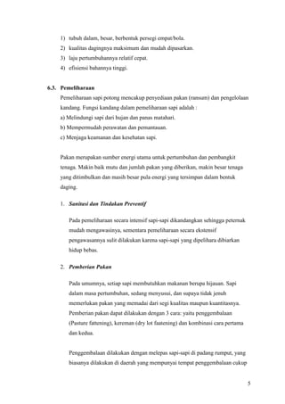 Budidaya Sapi Potong | PDF