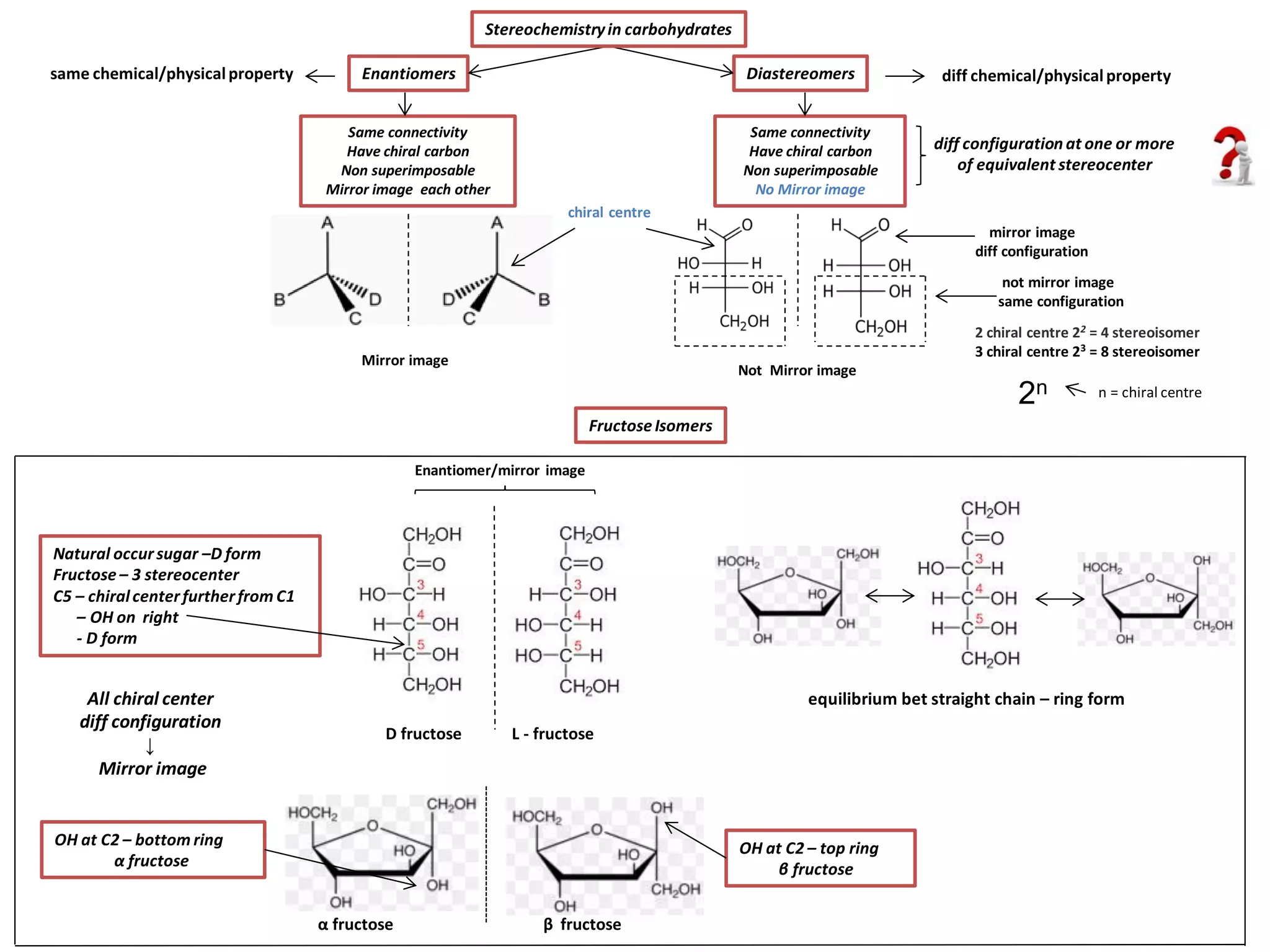 Option B Stereochemistry Carbohydrates, Protein, Lipid, Vitamin and ...