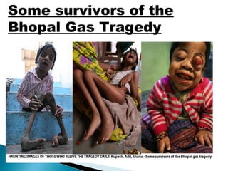Bhopal gas tragedy | PPT