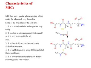 Bhopal gas tragedy | PPTX