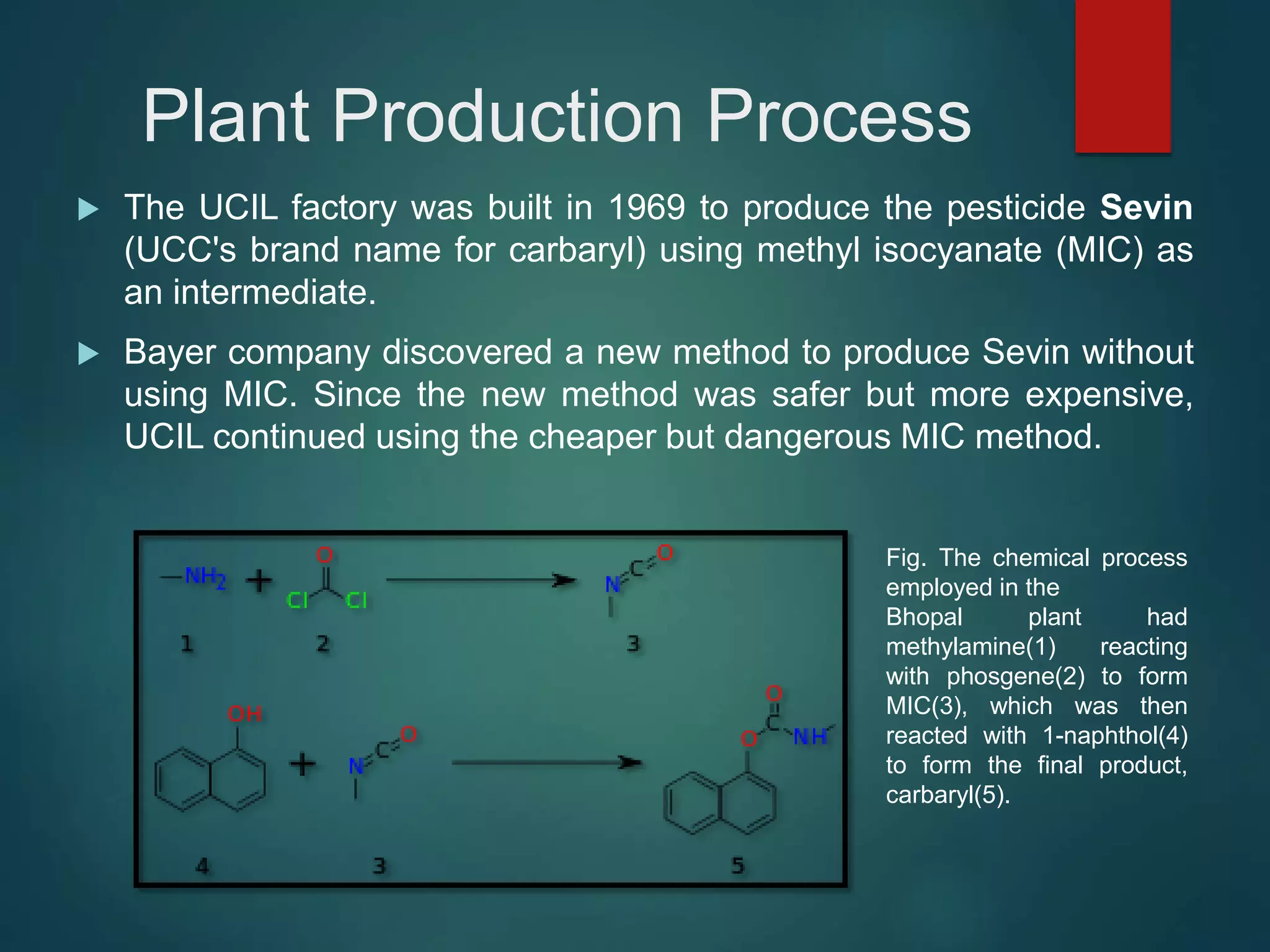 Bhopal gas tragedy, 1984 | PPTX
