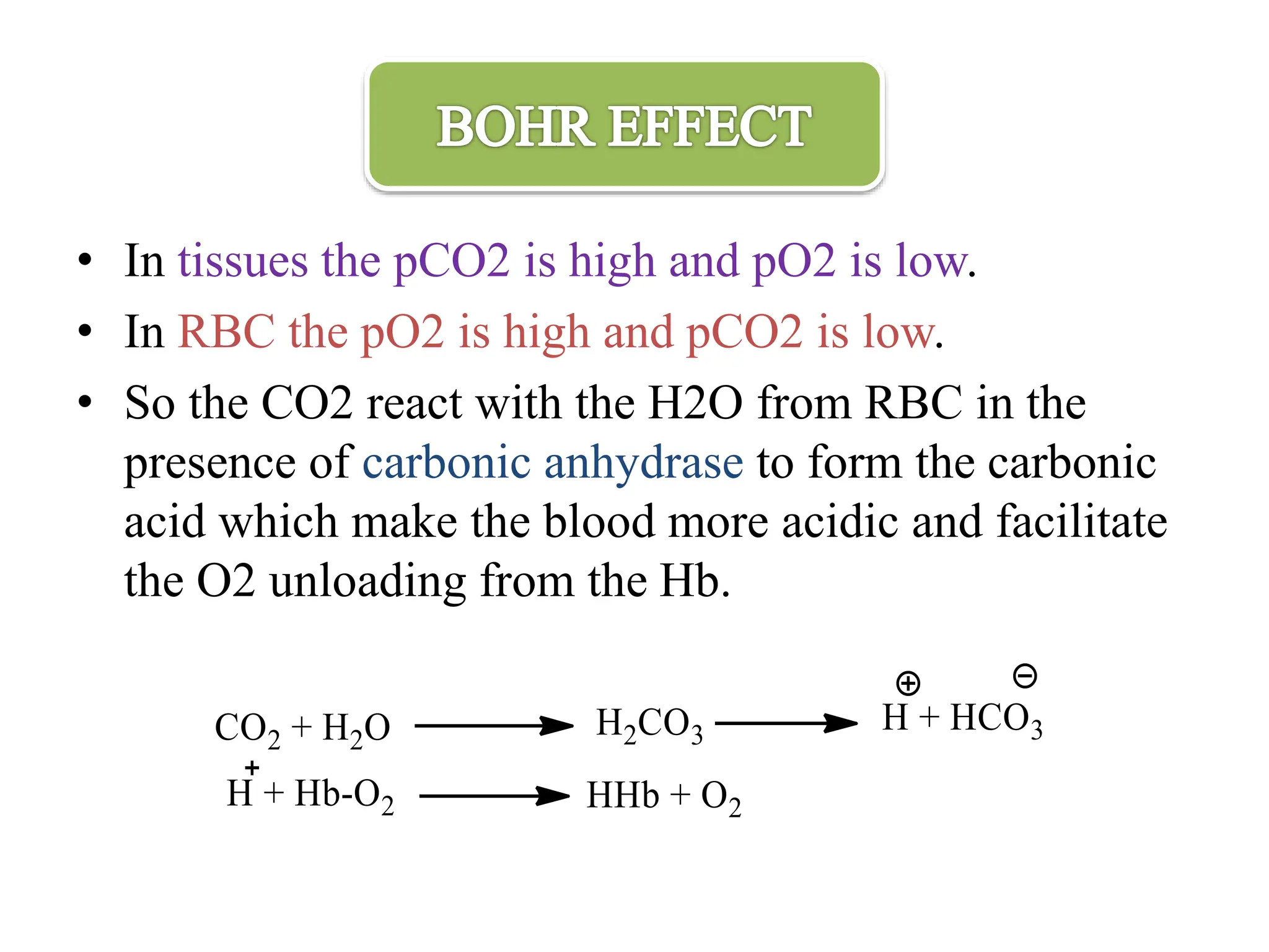 Bhor and Haldane effect.pptx. bio inorganic | PPTX