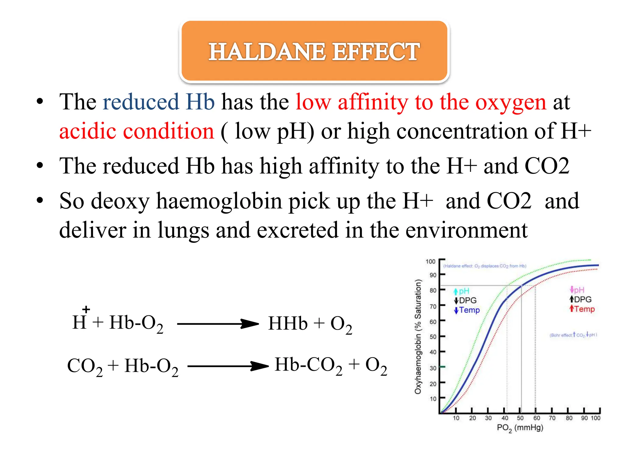 Bhor and Haldane effect.pptx. bio inorganic | PPTX