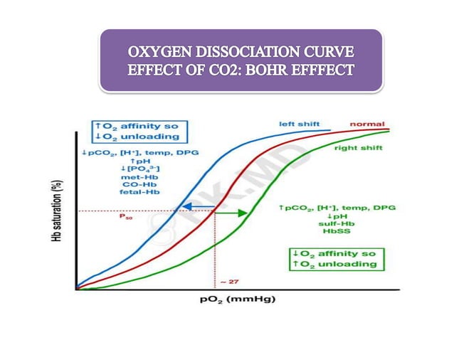 Bhor and Haldane effect.pptx. bio inorganic | PPTX | Blood Disorders ...
