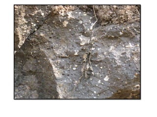 Bhor Ghat Geology.ppt | Geology | Science