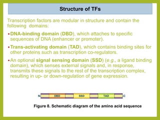 Transcription factors and their role in plant disease resistance | PPTX