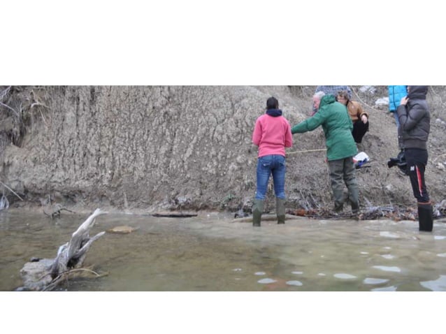 Bhs erosion pin project 1011 | PPT