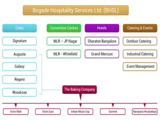 Bhsl case study- Website Development | PPT