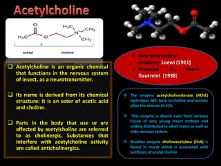 Insect Neurotransmitters and Receptors by B. Adhikari | PPTX