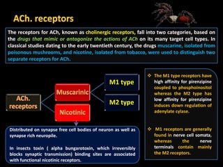 Insect Neurotransmitters and Receptors by B. Adhikari | PPTX