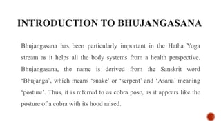 Bhujangasana and Padmasana.pptx