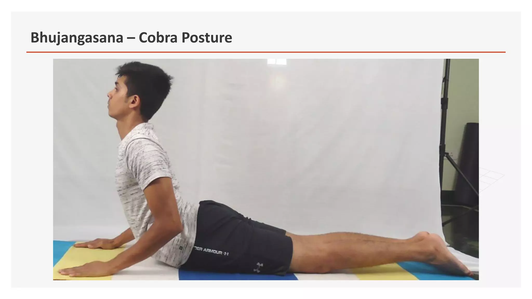 Bhujangasana – cobra posture | PDF | Physical Therapy | Wellness